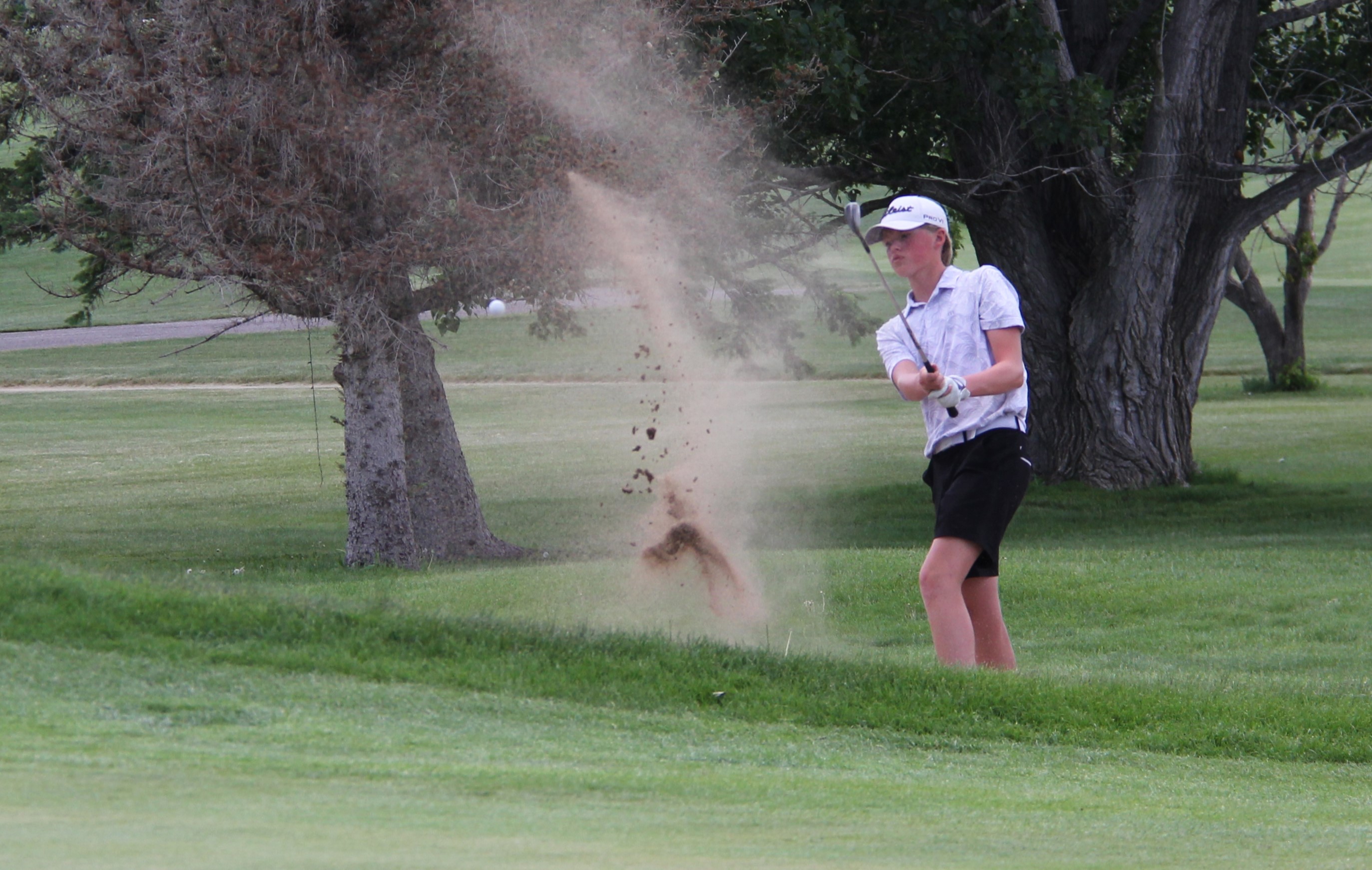 Bismarck St. Mary's Saints