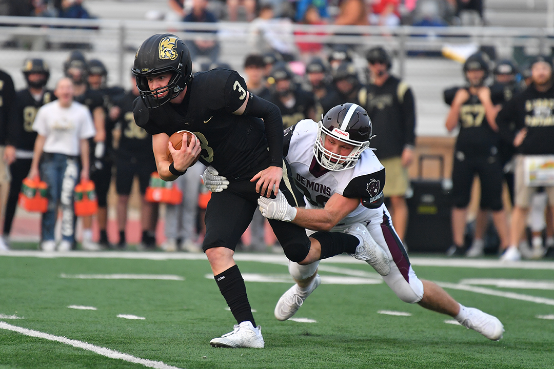 Bismarck Legacy Sabers