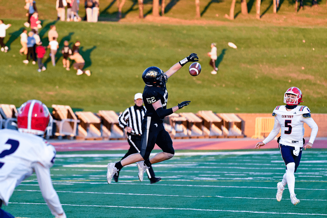 Bismarck Legacy Sabers