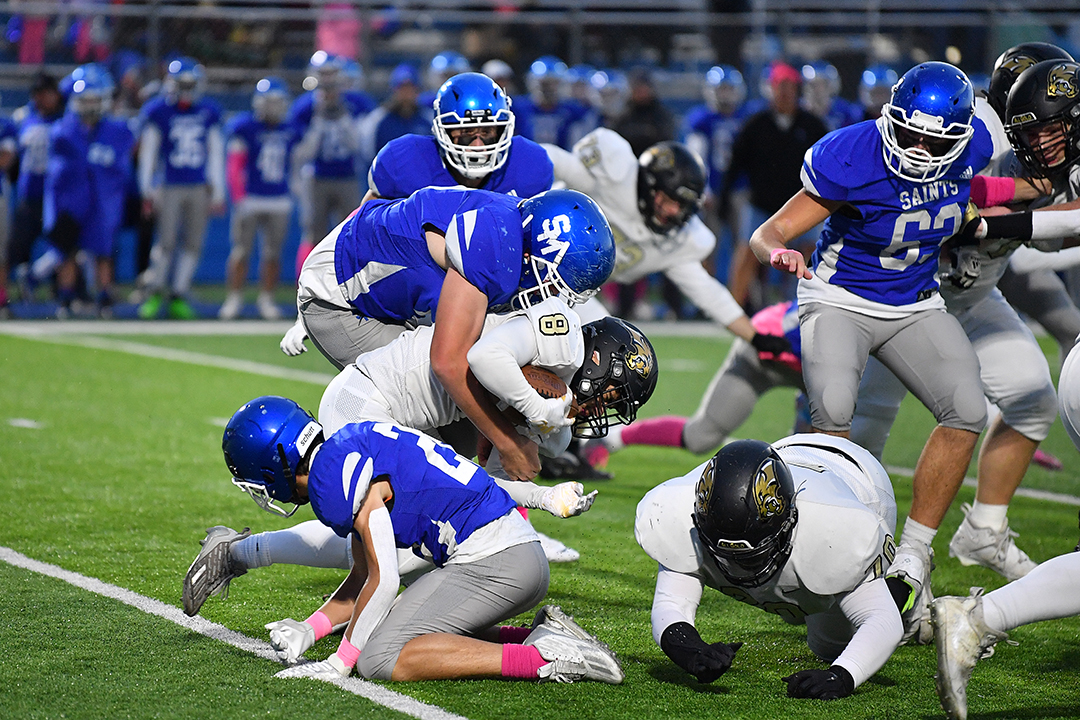 Bismarck St. Mary's Saints