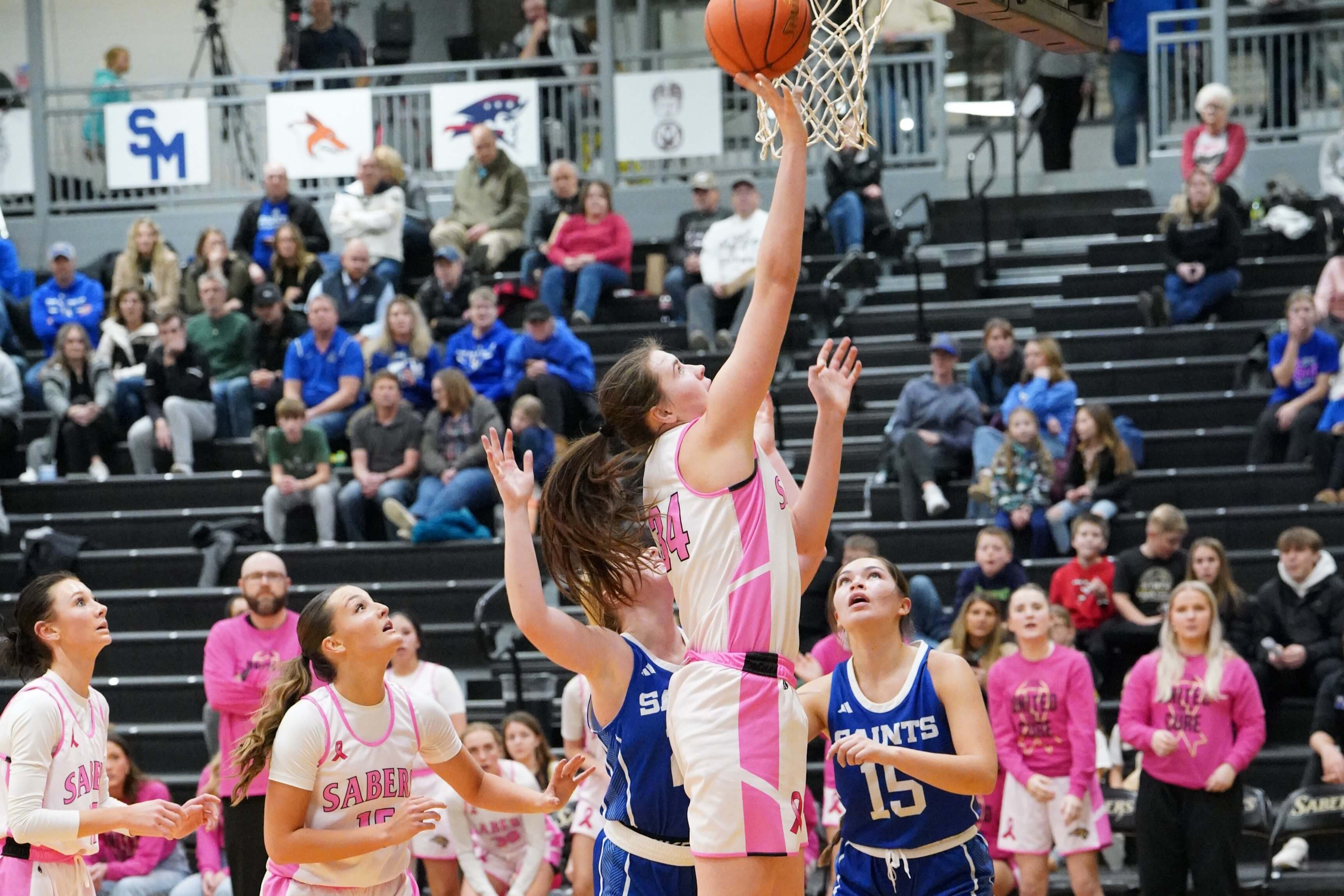 Bismarck Legacy Sabers